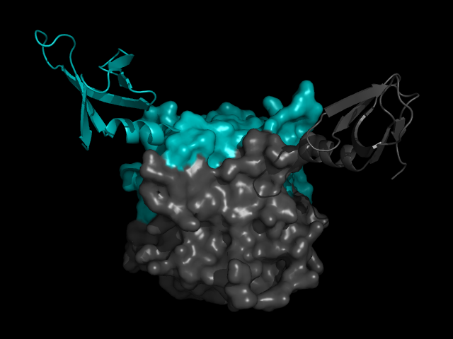 HIV Drug Resistance Database